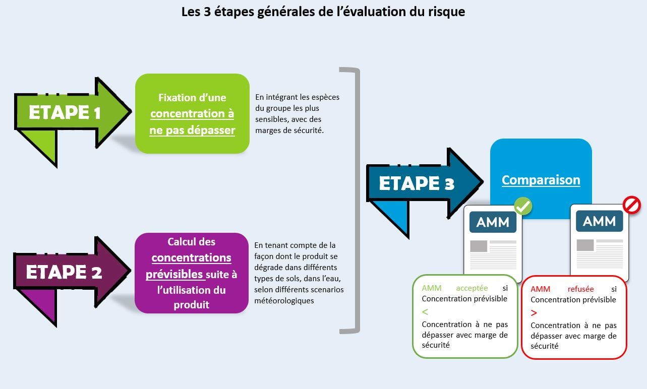 Les évaluations avant autorisation d'un produit phytosanitaire