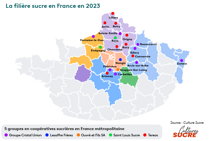 La betterave à sucre, prestige du secteur agro-industriel en France