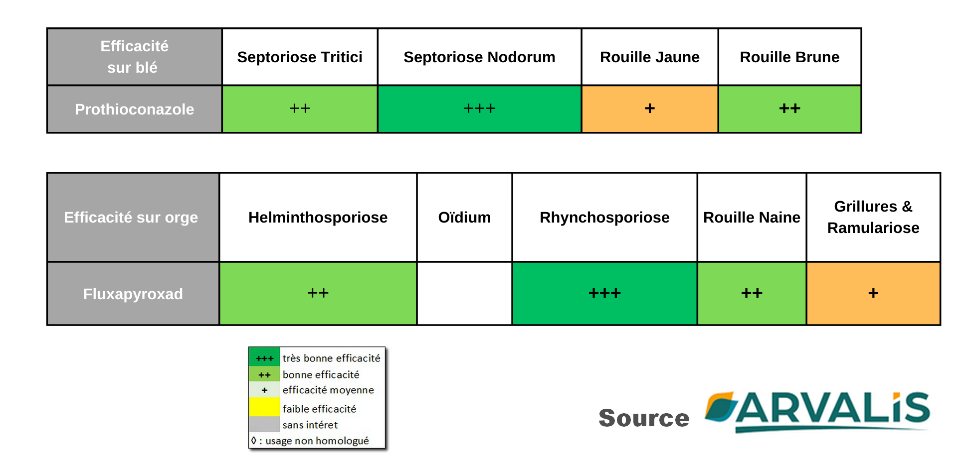 Fongicide curatif ou préventif : quelles différences