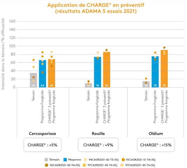Charge solution biocontrôle contre les maladies de la betterave