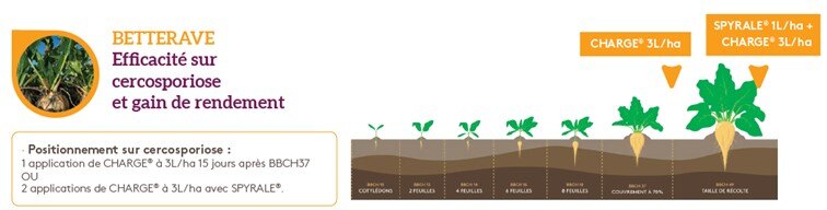 Charge solution biocontrôle contre les maladies de la betterave