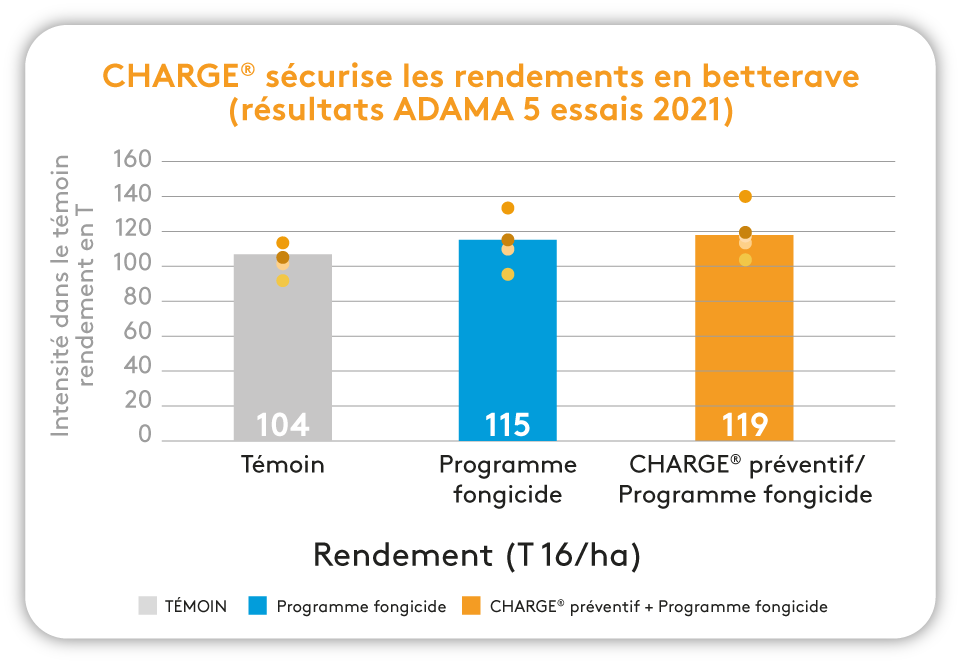 Charge® sur betterave : substance de base à effet fongicide