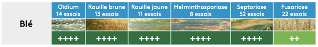 AVASTEL fongicide céréales préventif et curatif d'ADAMA