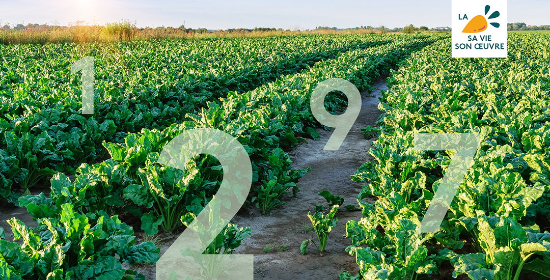 Nouvelle classification HRAC pour lutter contre les résistances