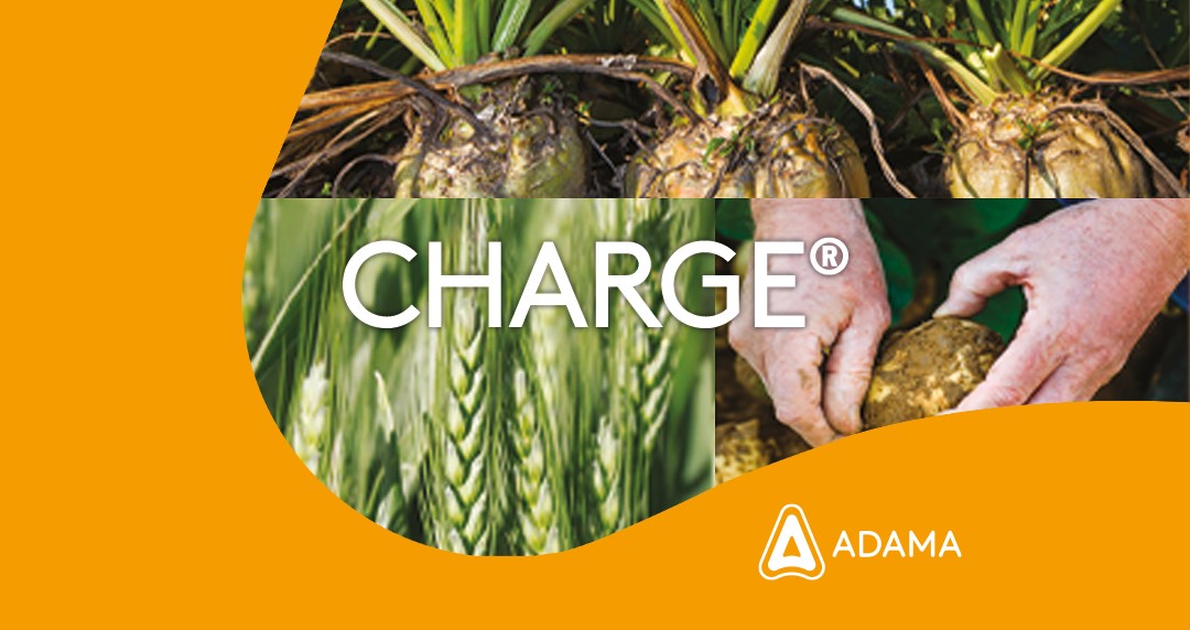 CHARGE®, substance de base et éliciteur pour vos cultures