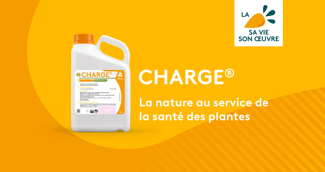 Charge solution biocontrôle contre les maladies de la betterave