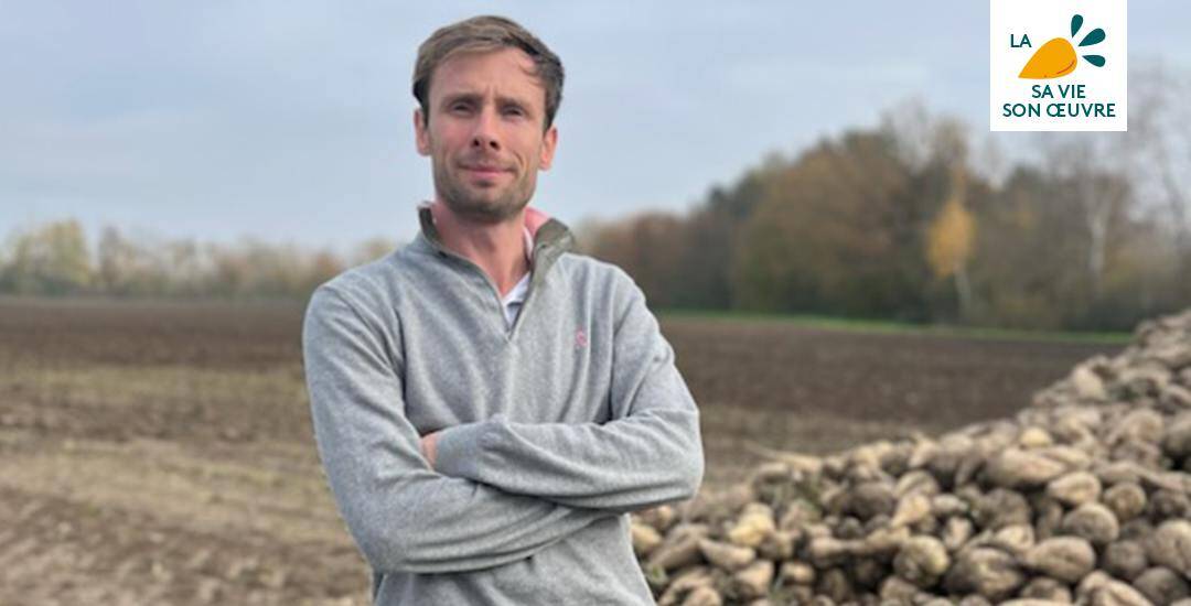 Fongicide Betterave : efficacité confirmée de Spyrale