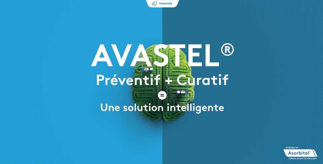 AVASTEL fongicide céréales préventif et curatif d'ADAMA