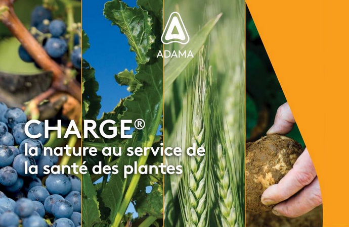 Charge®, substance de base et éliciteur pour vos cultures