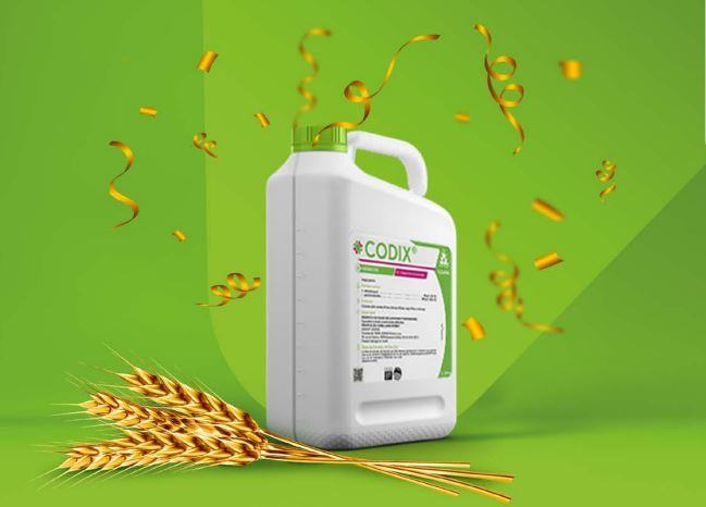 Codix désherbe en souplesse