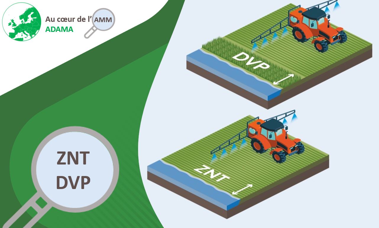 Fixation des largeurs des ZNT aquatiques et des DVP
